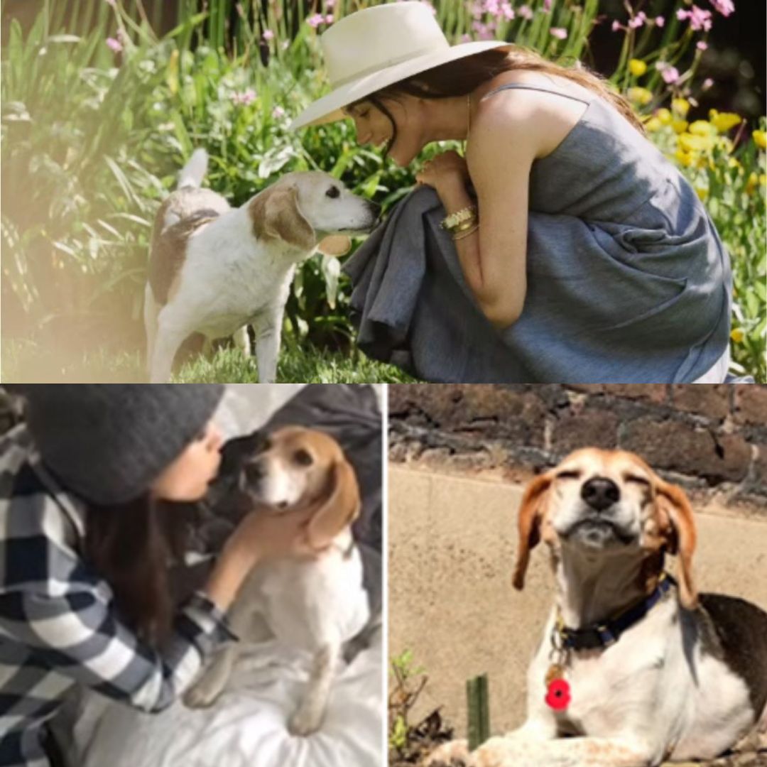 Meghan Markle shares a very rare look inside her $14.65 million ...