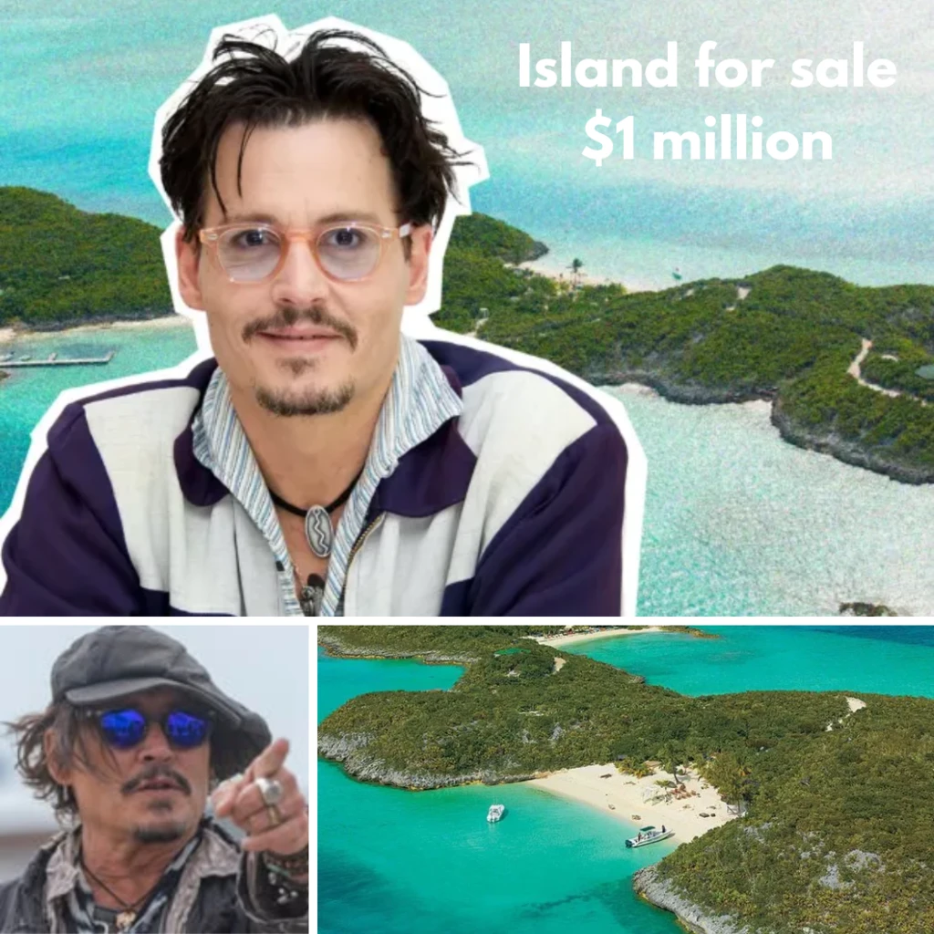 Johnny Depp Sells Private Island for 1 Million USD: What Has Made Fans ...