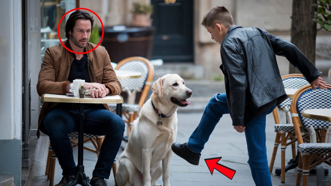 Shocking Mistake: Teen Harms a Dog, Unaware It Belongs to Keanu Reeves ...