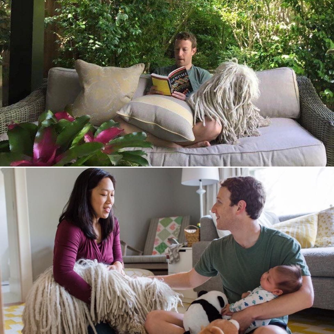 Meta Billionaire’s Dog Steals Hearts in Adorable Home Photos, Sparking ...