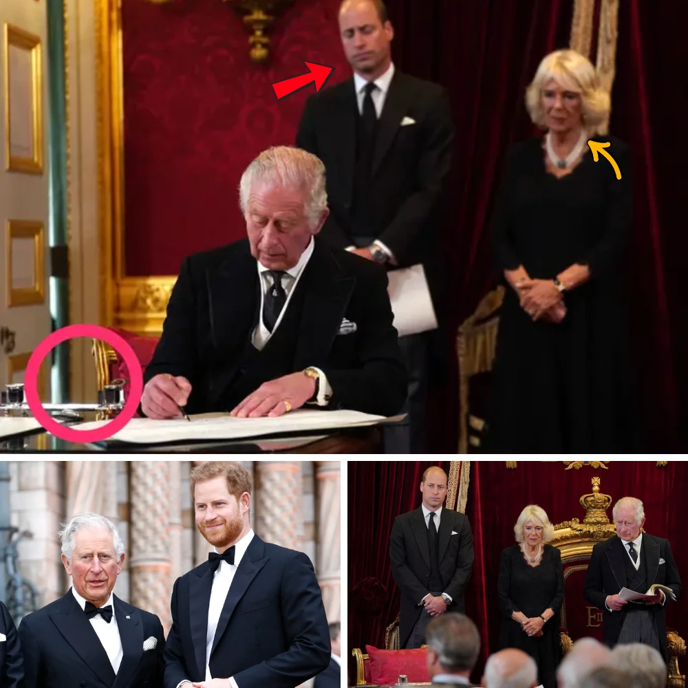King Charles Signs Secret Decree After Meeting Harry, William and ...