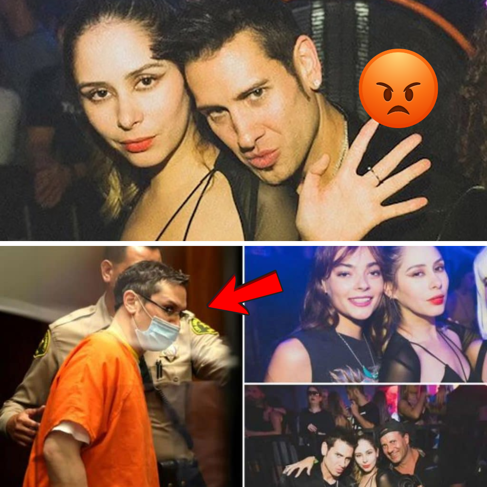 Veiled in Shadows: The Fall of David Pearce and the Lives He Shattered ...