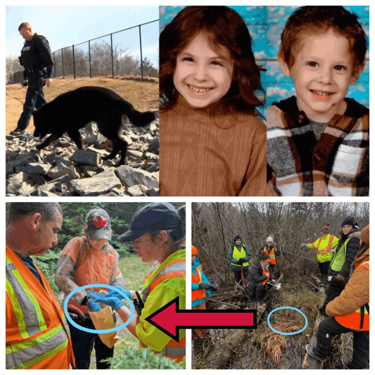 They Found Lilly’s Tiny Pink Mitten 2 km Away – But It Was CLEAN: Nova ...