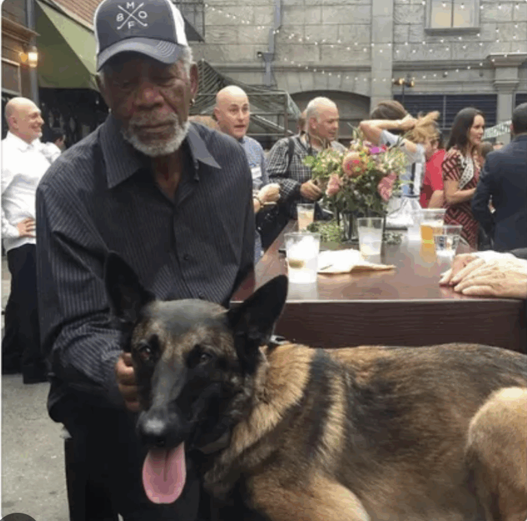 Morgan Freeman Just Revealed a Life-Changing $11M Project: A Massive ...