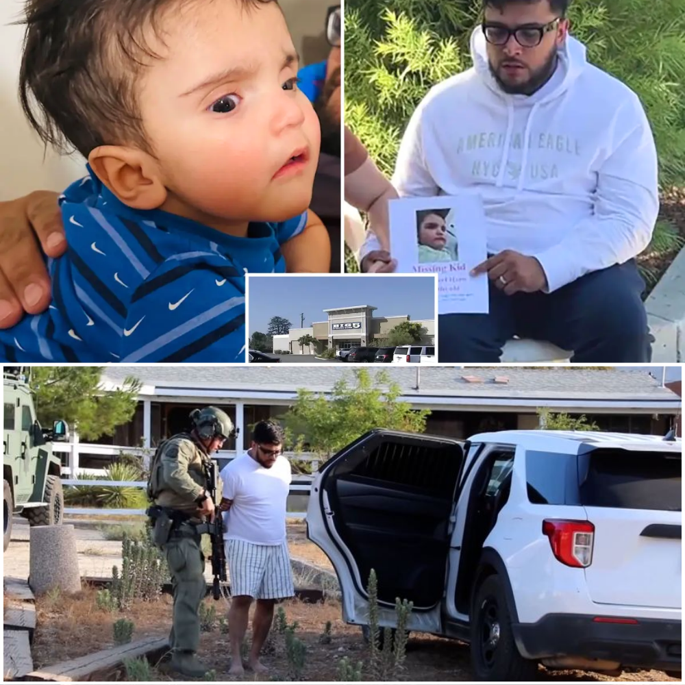 He Took My Baby! — Rebecca Haro’s Chilling Abduction Story Gripped ...