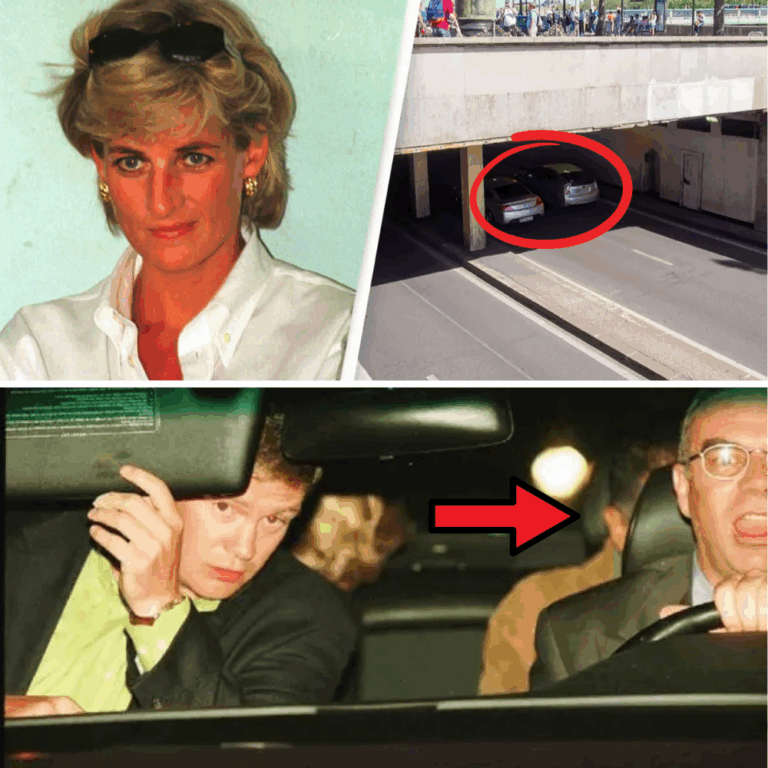 Disappearing Frame at 47 Minutes: Could Princess Diana's Last Night Be ...