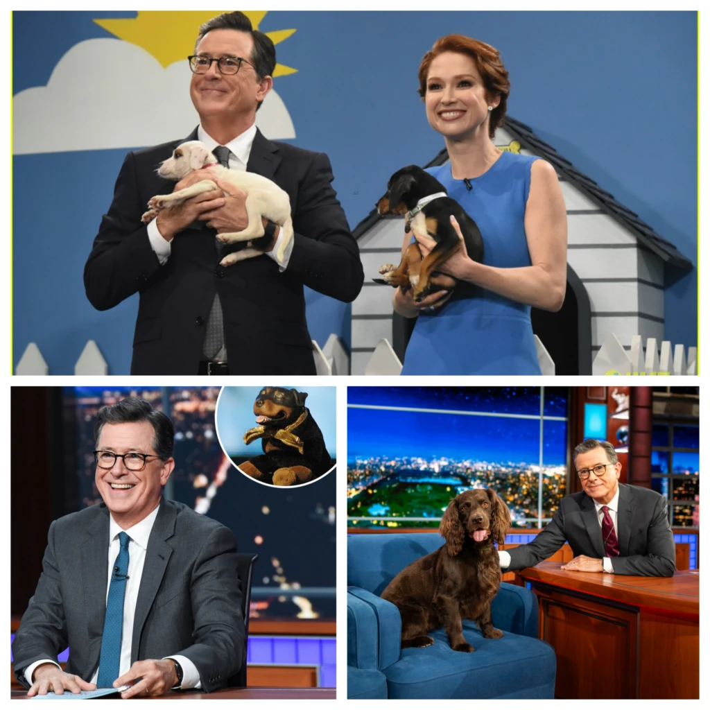 Stephen Colbert’s Shocking Dog Sanctuary Bombshell: Late-Night Icon ...