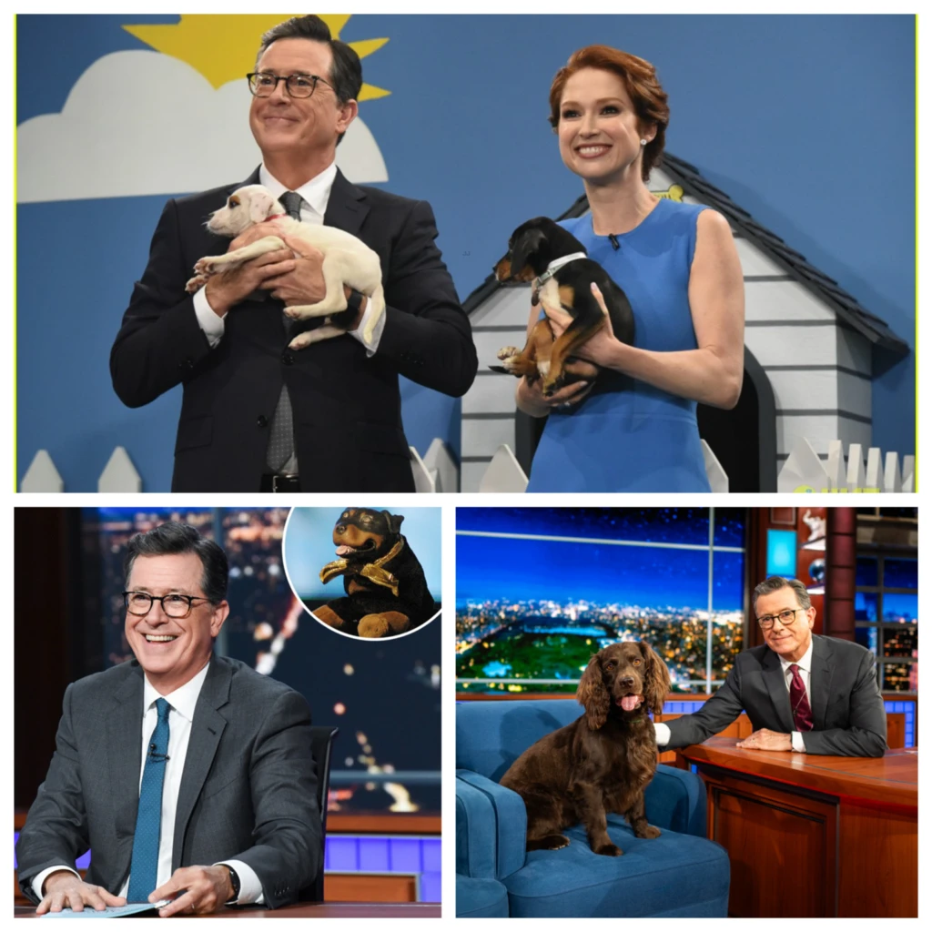 Stephen Colbert’s Shocking Dog Sanctuary Bombshell: Late-Night Icon ...