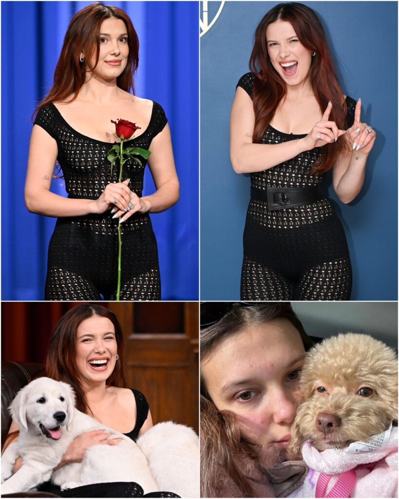 Millie Bobby Brown’s Hilarious Homefront Saga: Dog vs. Baby, Power ...