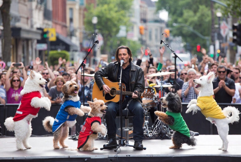 Johnny Depp Stuns Crowds with Epic Street Performance – Brings His ...