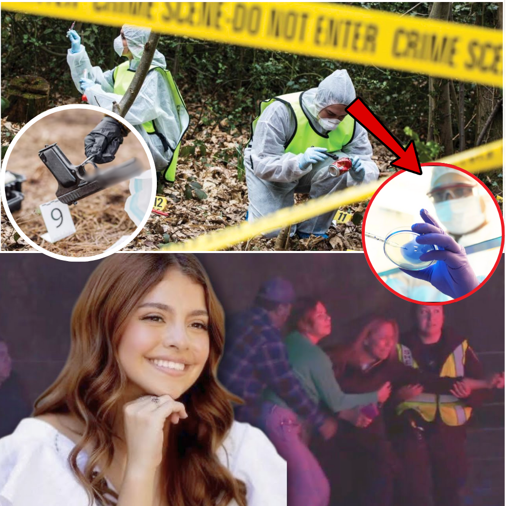 👀🔫 Unmatched DNA on the G/un? New Forensic Evidence Casts Serious Doubt ...