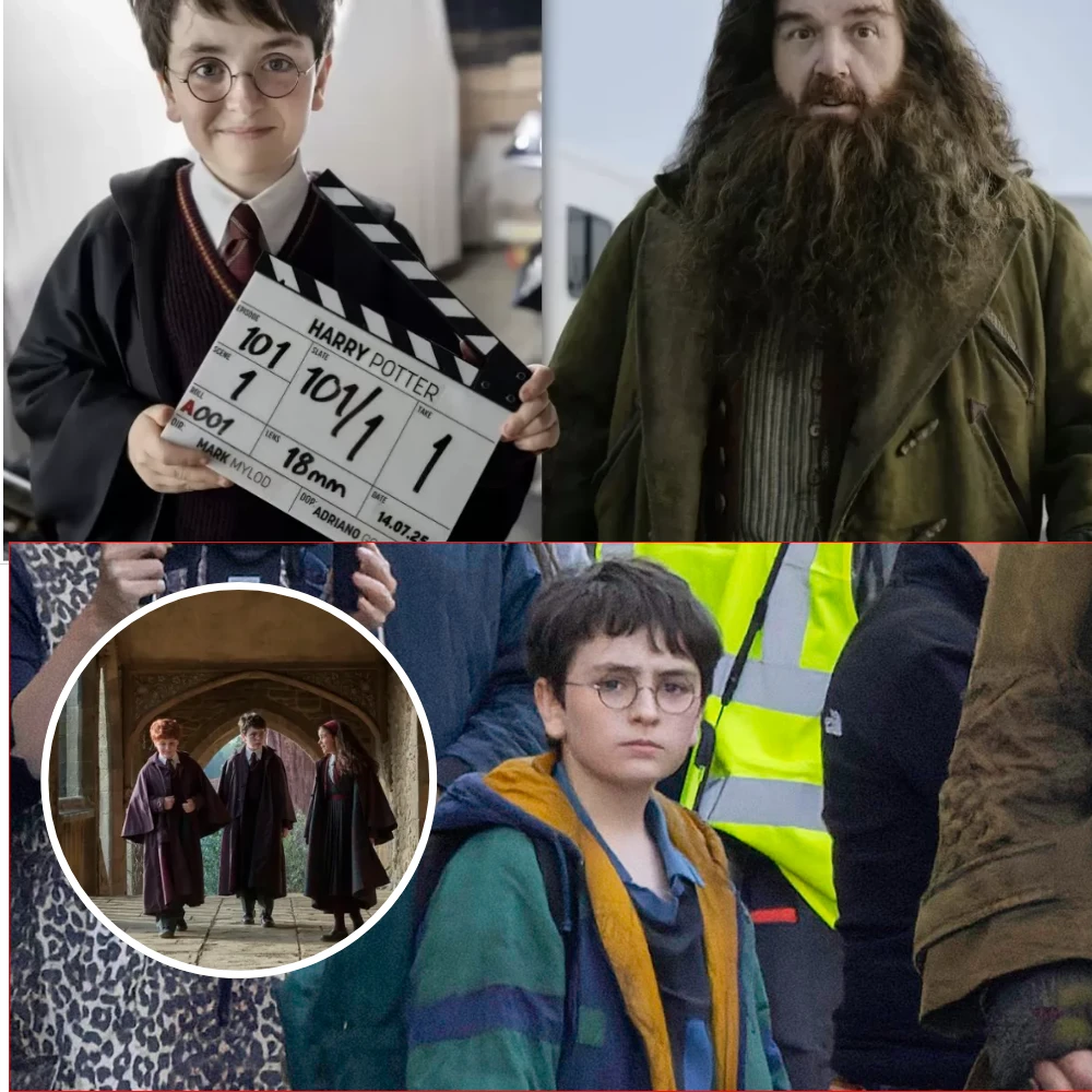 😭 First Harry Potter TV Trailer is HERE & It’s Giving Chills! Dominic ...